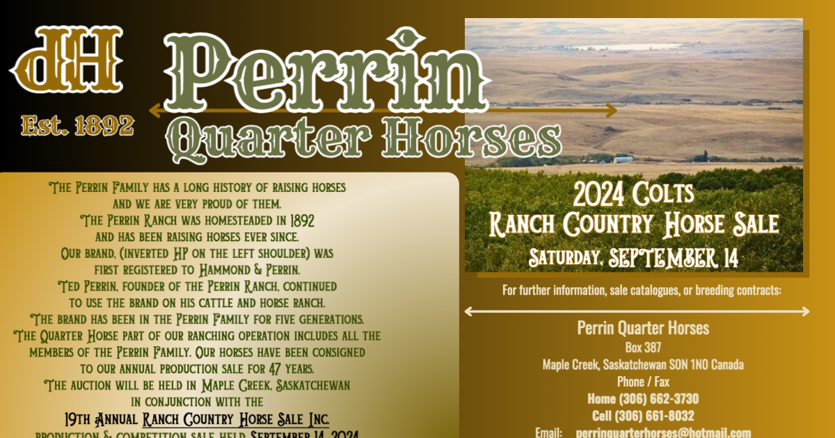 WEBSITE_Perrin Quarter Horses2024